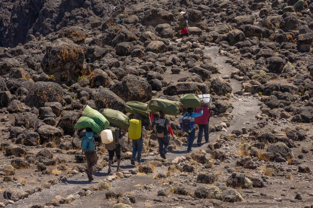 KILIMANJARO PORTERS - Mount Kilimanjaro Guide